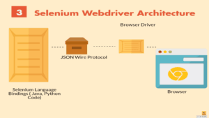 How Does Selenium Webdriver Work?